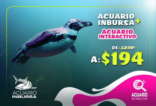 Cuponerapp - Acuario Inbursa + Acuario Interactivo $194 en Acuario Inbursa
